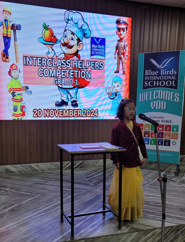 Blue Birds International School