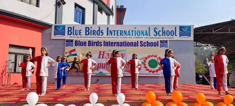 Blue Birds International School